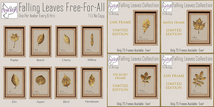 Second Life Marketplace - [ free bird ] Falling Leaves - Birch
